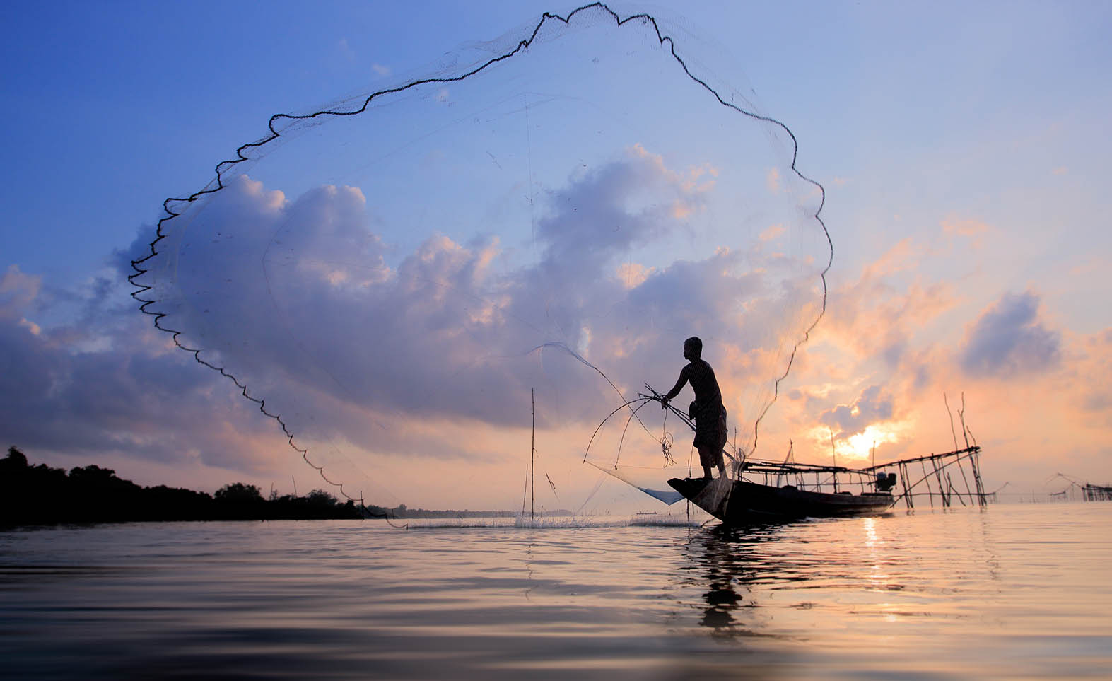 India’s marine fish landings rise 15.6% rise in 2019: Report - IndBiz ...